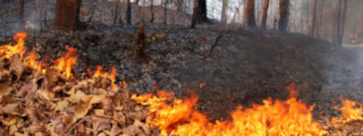 Ordinanza n. 25/2017 per la prevenzione degli incendi boschivi ... Ordinanza n. 25/2017 per la prevenzione degli incendi boschivi ...